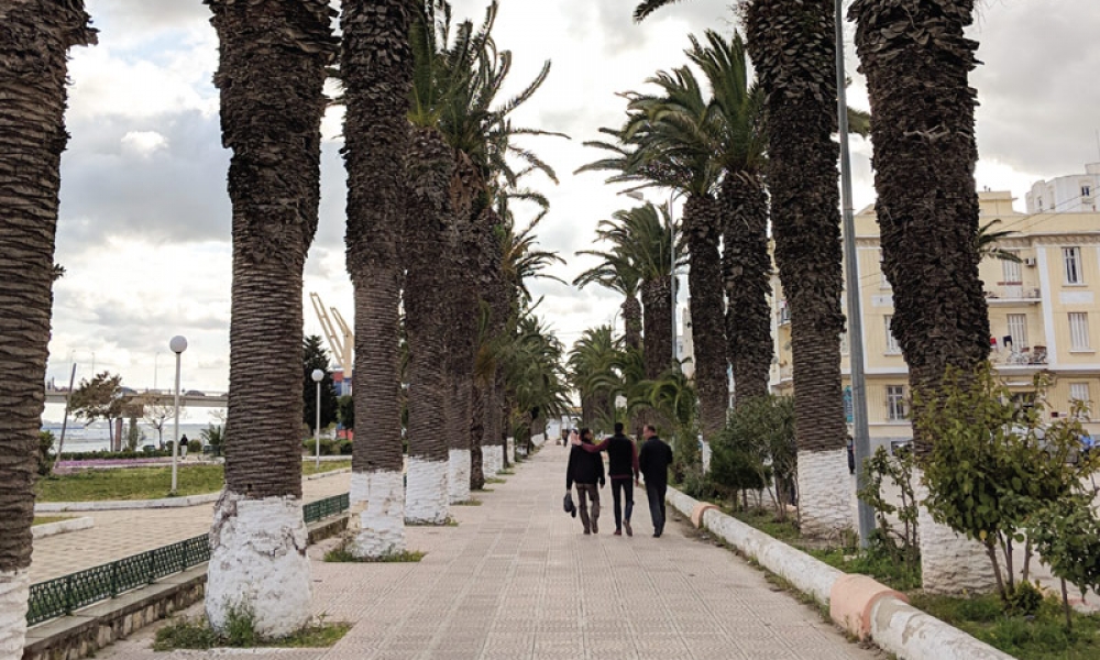 Musa in North Africa - Multiply